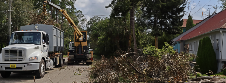 City of Tallahassee Utilities | City of Tallahassee Utilities Homepage